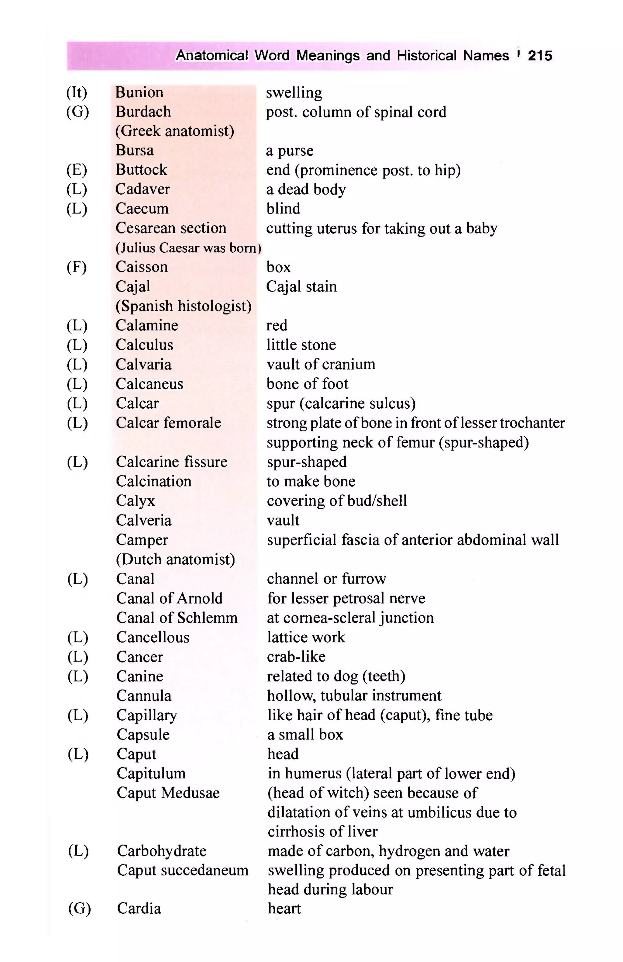 B d chaurasia's handbook of general anatomy (4th ed) | PDF