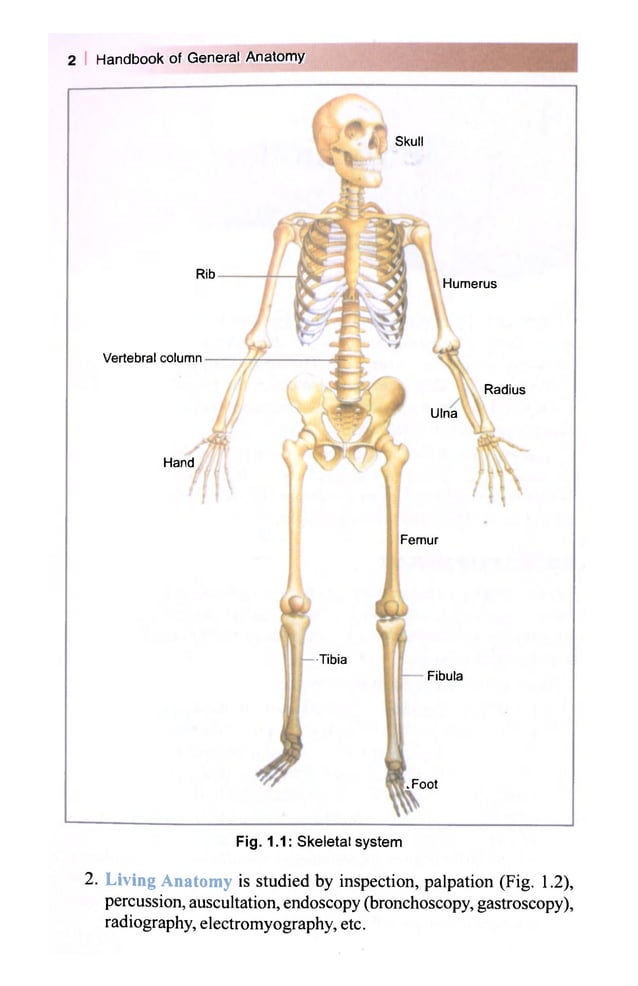 B d chaurasia's handbook of general anatomy (4th ed) | PDF