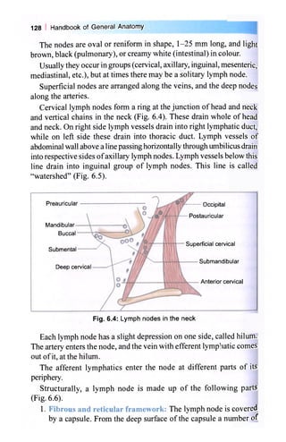 B d chaurasia's handbook of general anatomy (4th ed) | PDF