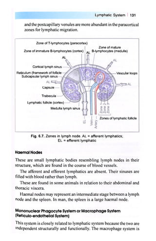 B d chaurasia's handbook of general anatomy (4th ed) | PDF