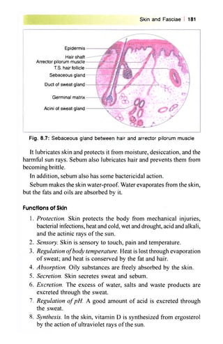 B d chaurasia's handbook of general anatomy (4th ed) | PDF
