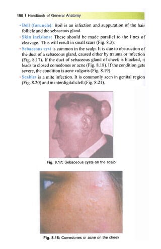 B d chaurasia's handbook of general anatomy (4th ed) | PDF