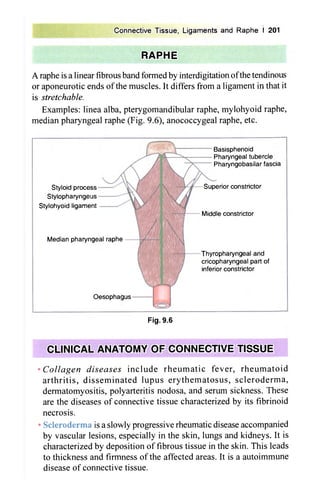 B d chaurasia's handbook of general anatomy (4th ed) | PDF