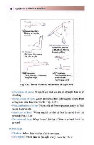 B d chaurasia's handbook of general anatomy (4th ed) | PDF