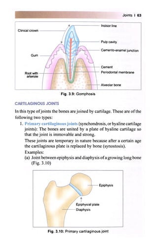 B d chaurasia's handbook of general anatomy (4th ed) | PDF
