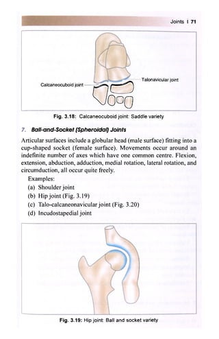 B d chaurasia's handbook of general anatomy (4th ed) | PDF