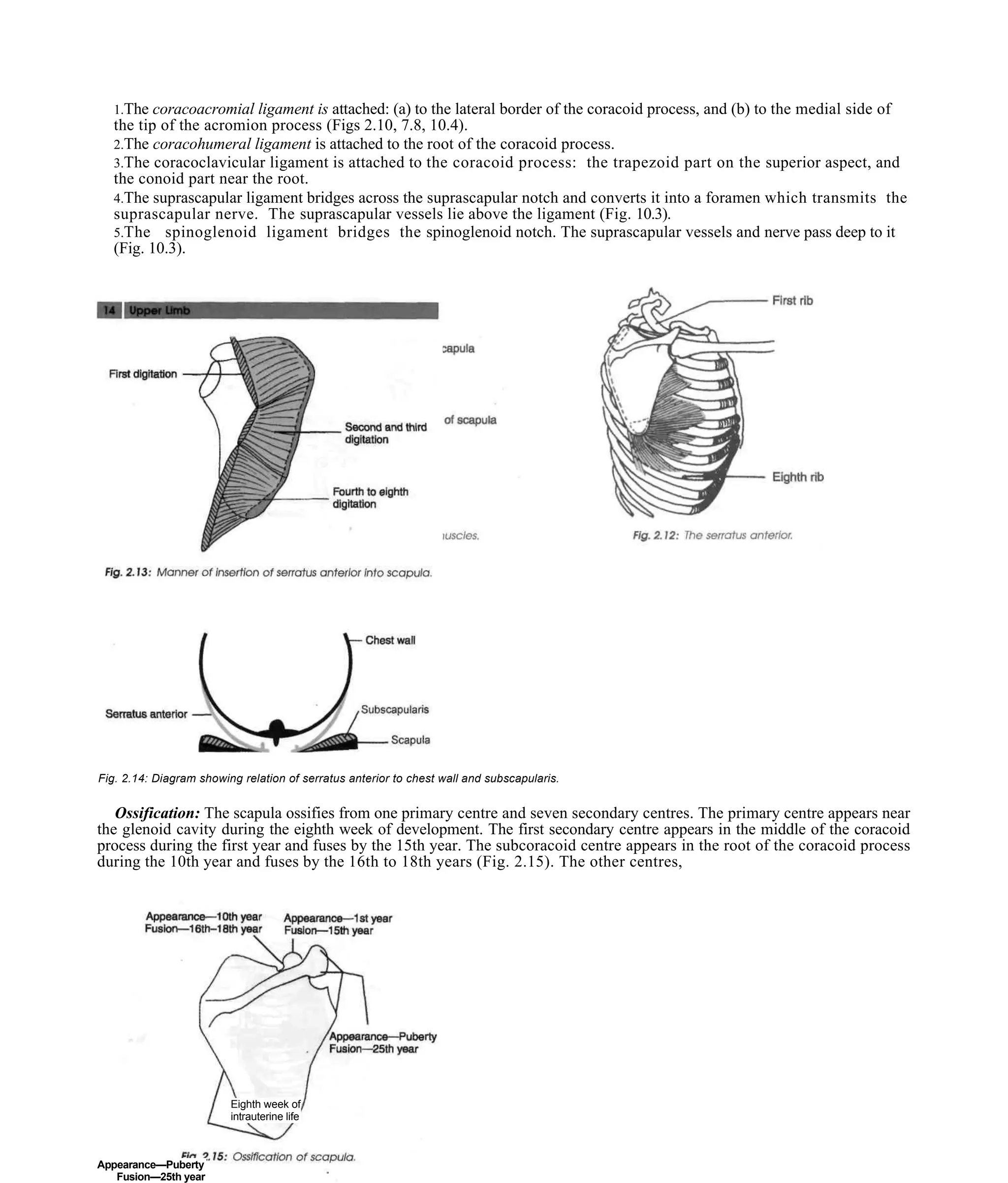 BD Chaurasia’s Human Anatomy, Upper Limb and Thorax -Volume1-4th.pdf