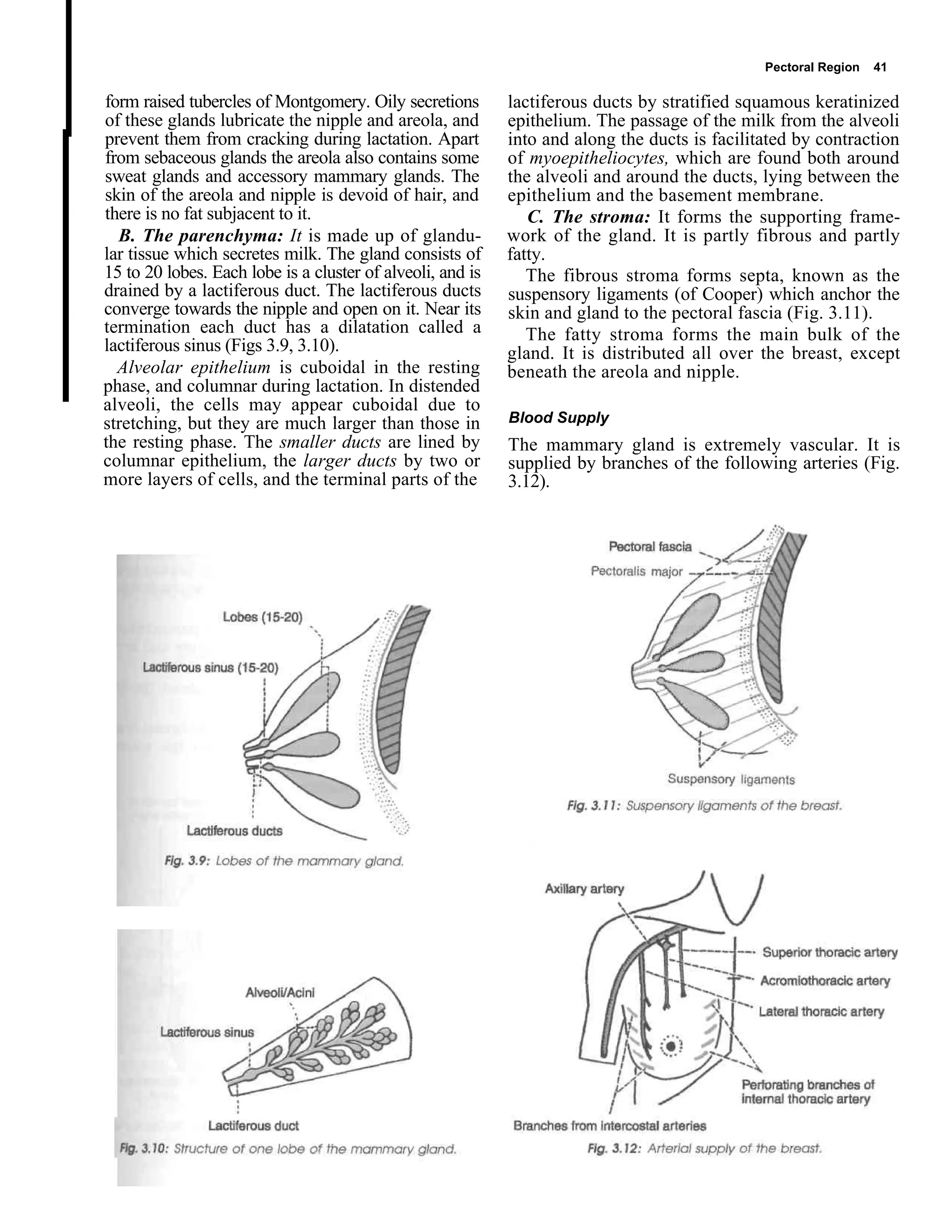BD Chaurasia’s Human Anatomy, Upper Limb and Thorax -Volume1-4th.pdf