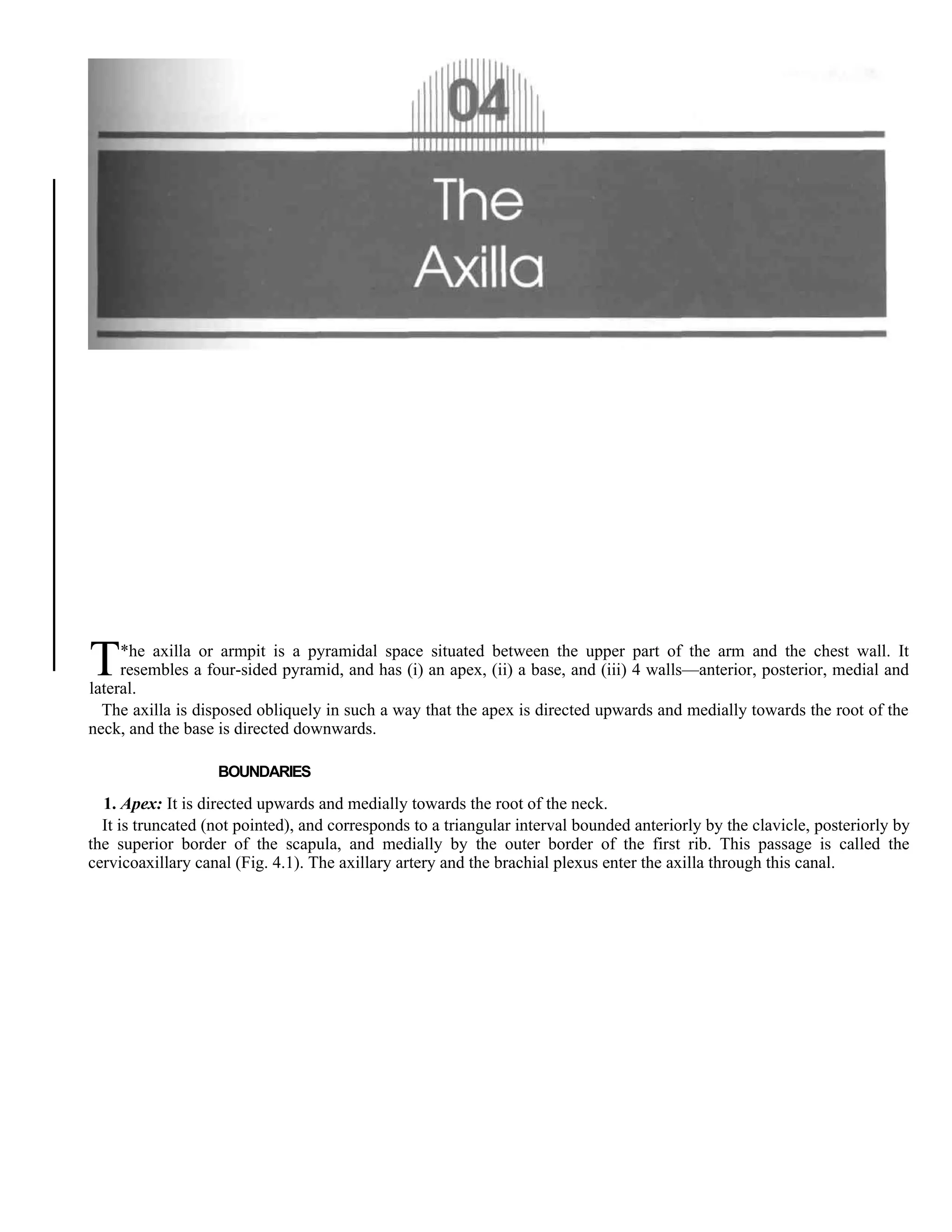 BD Chaurasia’s Human Anatomy, Upper Limb and Thorax -Volume1-4th.pdf