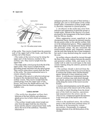 BD Chaurasia’s Human Anatomy, Upper Limb and Thorax -Volume1-4th.pdf