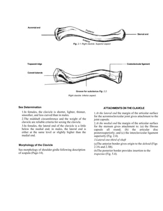 BD Chaurasia’s Human Anatomy, Upper Limb and Thorax -Volume1-4th.pdf