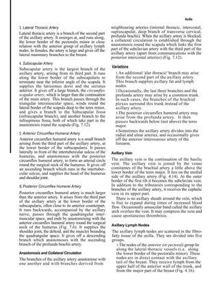 BD Chaurasia’s Human Anatomy, Upper Limb and Thorax -Volume1-4th.pdf