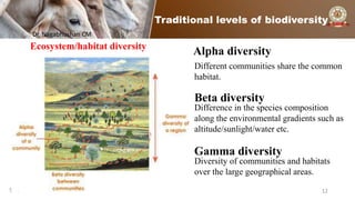 Biodiversity: concepts and definitions | PPTX
