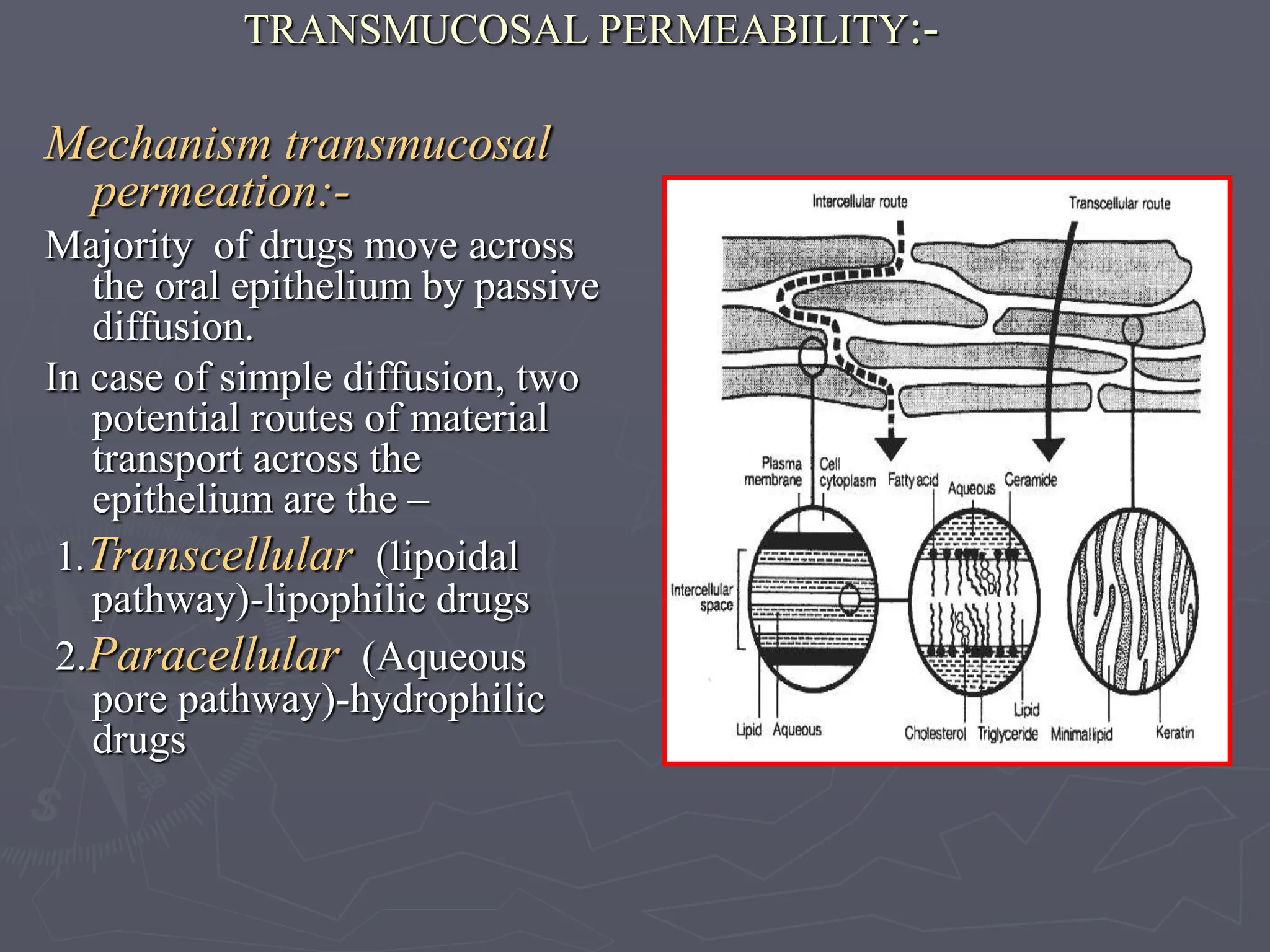 Mucoadhesive (Buccal) drug delivery system | PPT