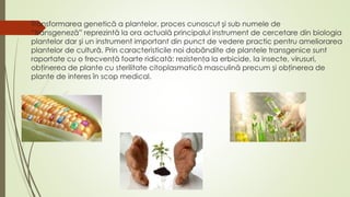 Organisme transgenice | PPTX