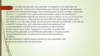 Organisme transgenice | PPTX