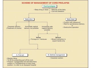 Transverse lie and cord prolapse | PPTX