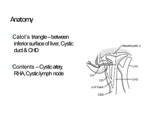 Bile duct injuries | PPTX