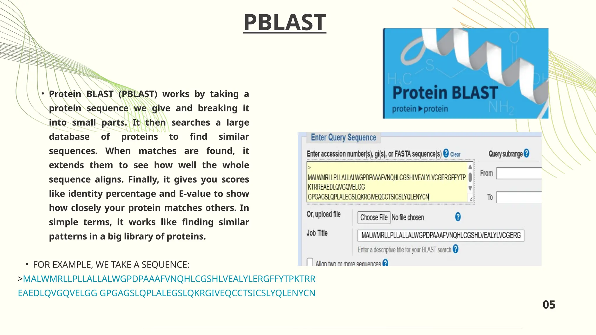 blast tools , biological databasesbipptx | PPTX