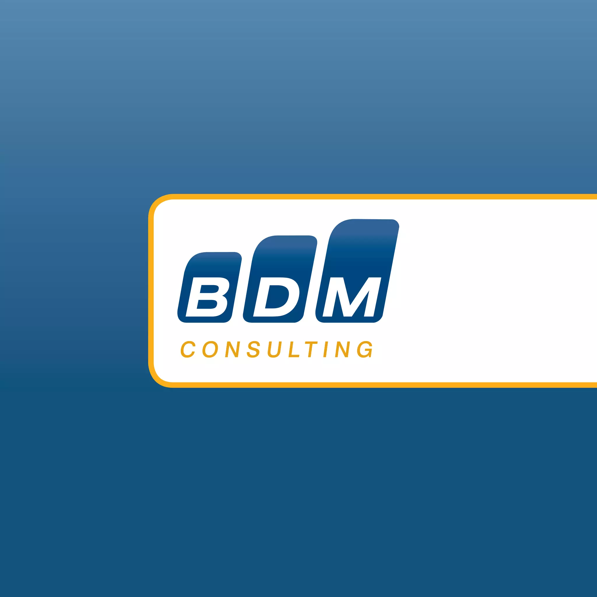 BDM Brochure | PDF