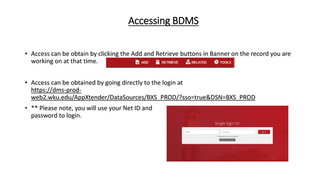 BDMS Slides.pptx