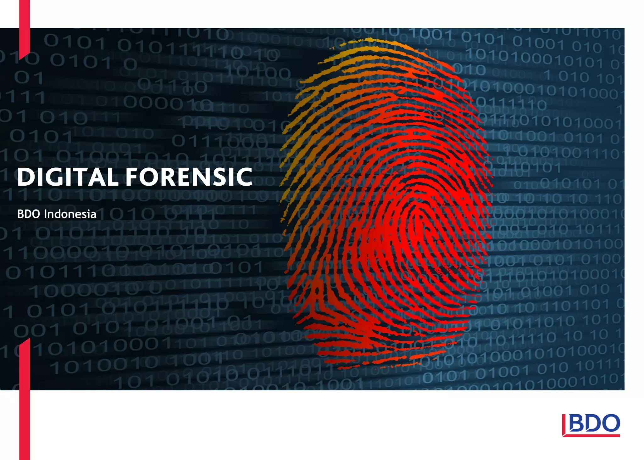 BDO Digital Forensic | PDF