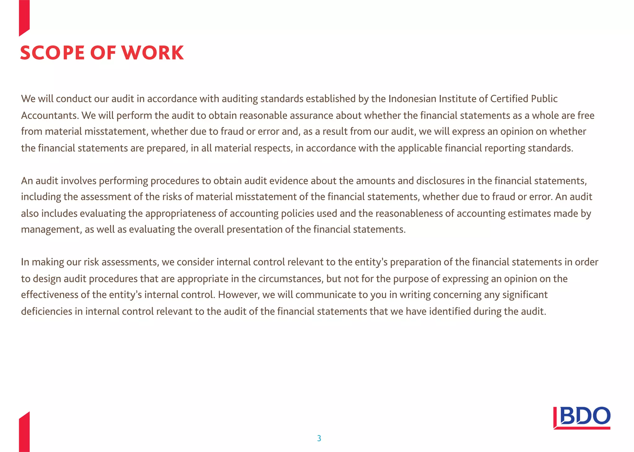BDO General Audit of Financial Statements | PDF