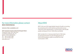 BDO General Audit of Financial Statements | PDF