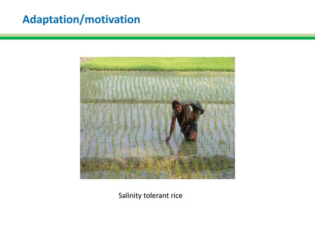 BDP 2100.pptx | Environmental Services Industry | Industries