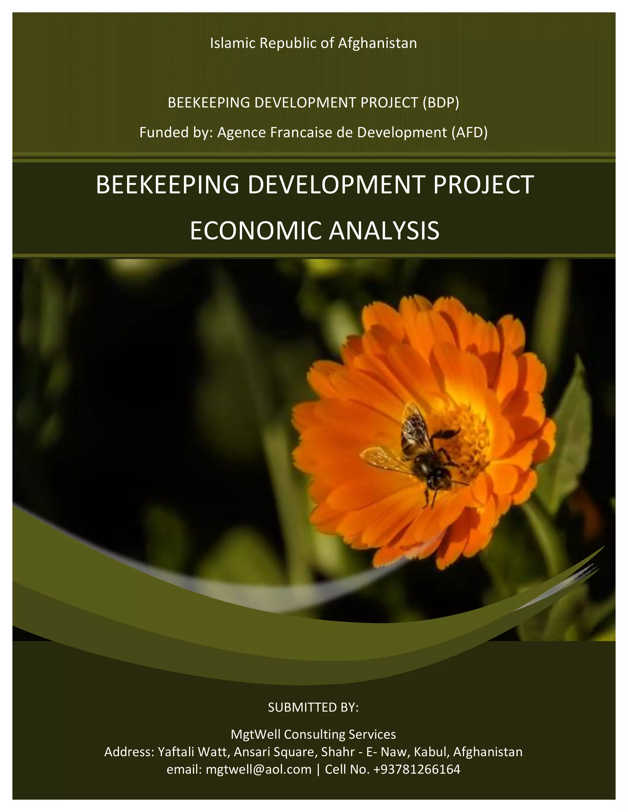 Beekeeping Development Project Economic Analysis | PDF
