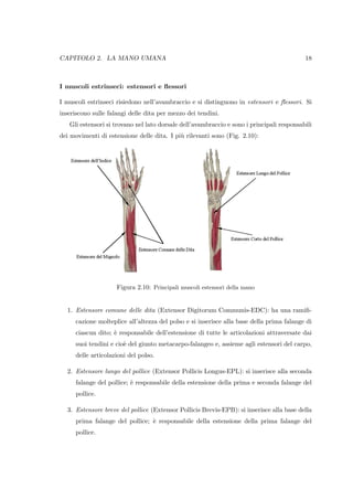 Bd r10 g-mano-umana_disp | PDF