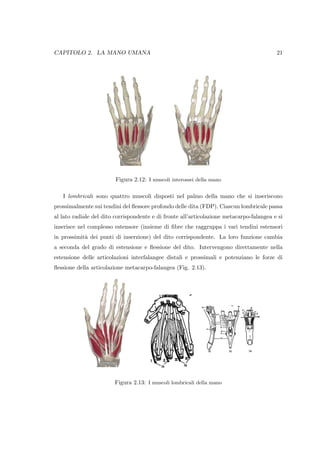 Bd r10 g-mano-umana_disp | PDF