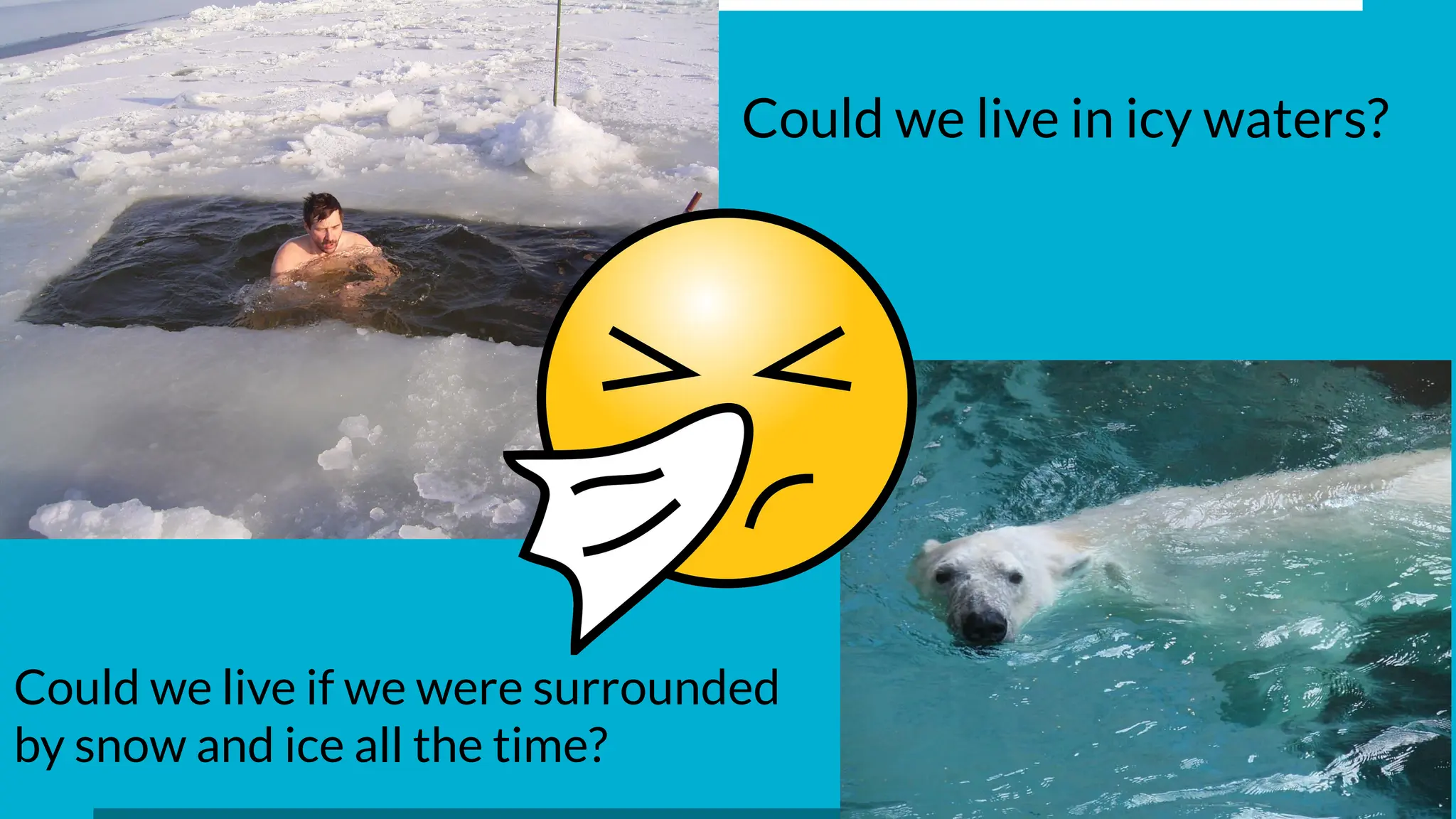 How to survive in cold. Animals and human. | PDF | Polar Travel ...