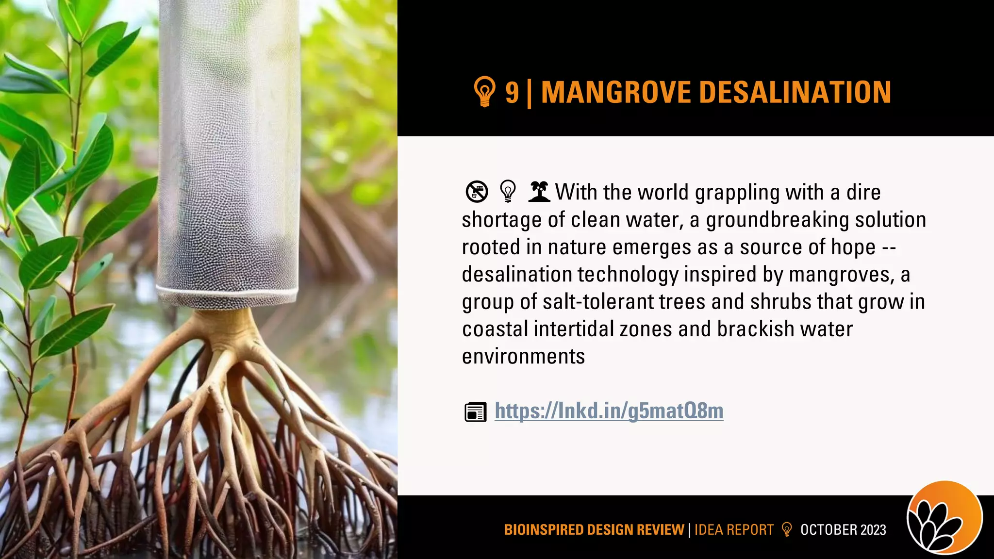 Bioinspired Design Review | October 2023 | PDF