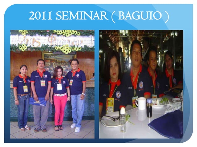 The Barangay Disaster Risk Reduction Management Plan | PPTX | Disasters