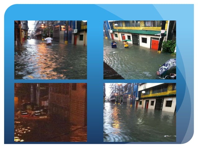 The Barangay Disaster Risk Reduction Management Plan | PPTX | Disasters