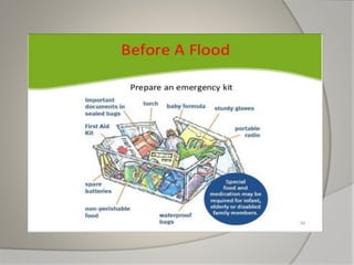 Barangay 465 Disaster Risk Reduction Management Plan | PPTX