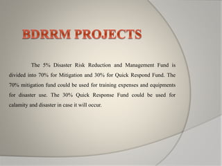Barangay 465 Disaster Risk Reduction Management Plan | PPTX