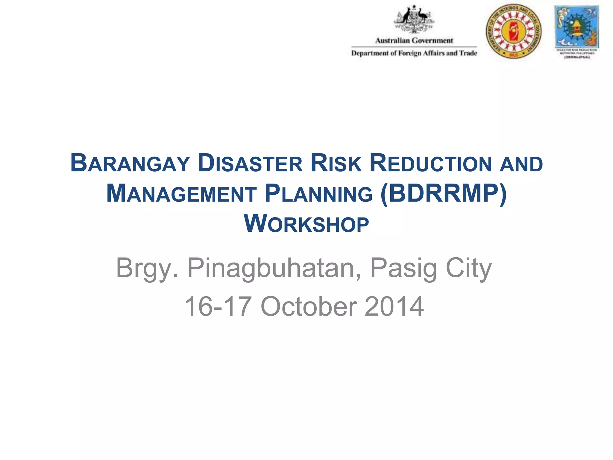 Barangay Bambang Disaster Risk Reduction and Management Planning ...