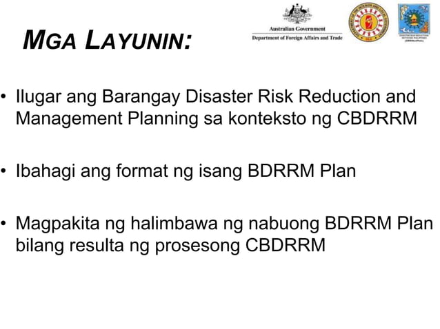 Barangay Bambang Disaster Risk Reduction and Management Planning ...