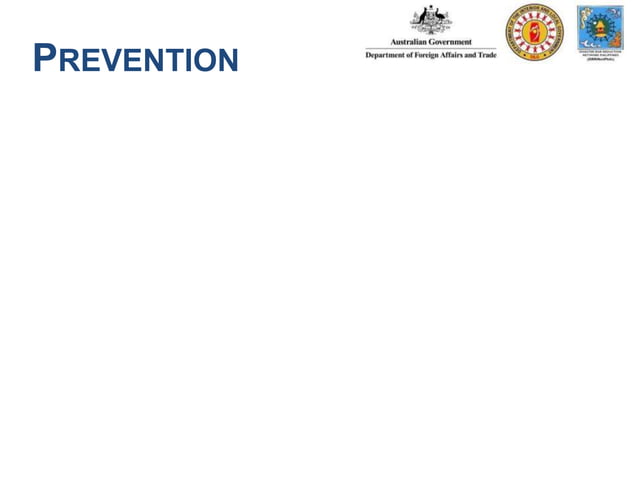 Barangay Bambang Disaster Risk Reduction and Management Planning ...