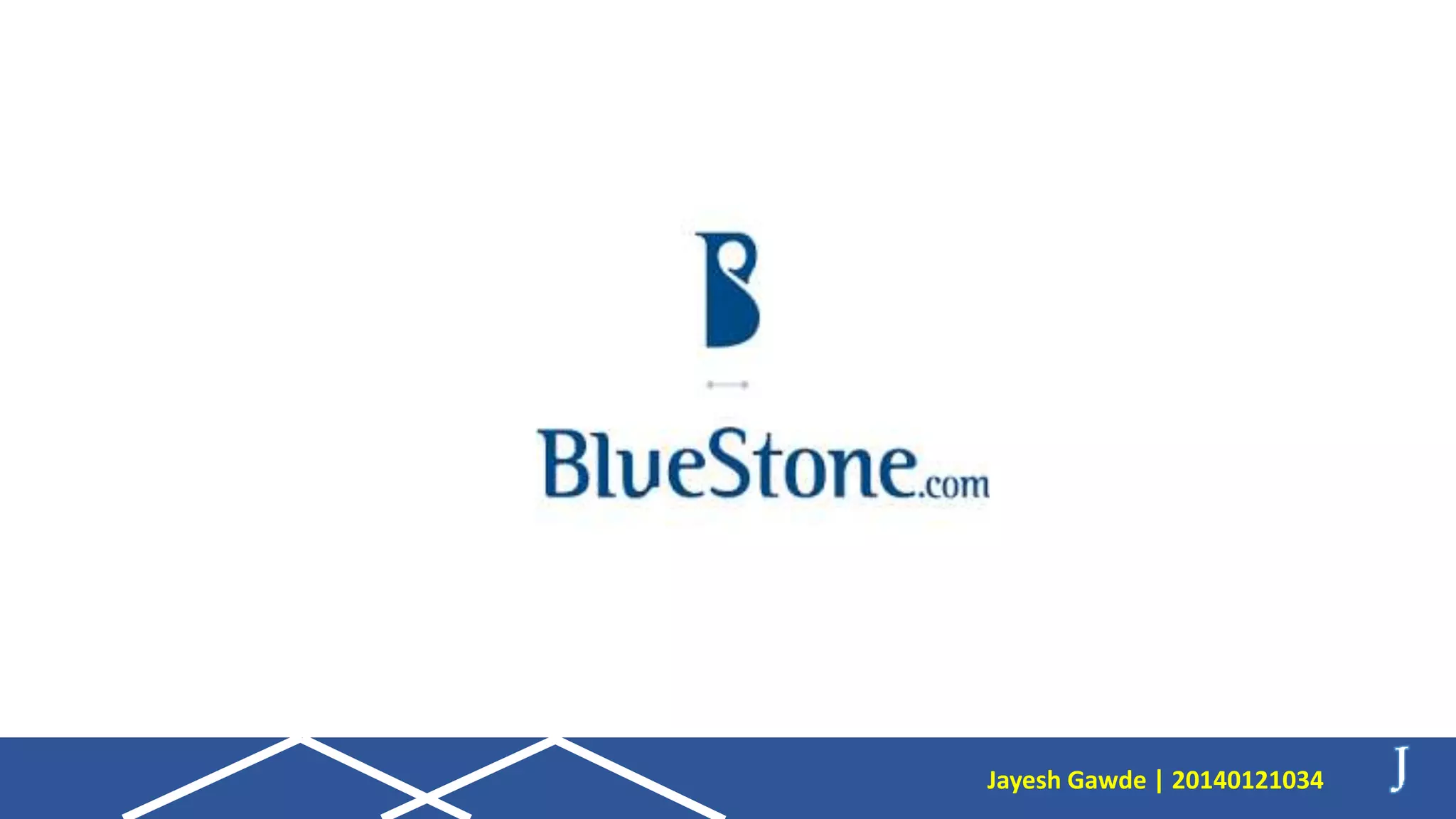 Buisness of digital Startup - Bluestone | PPTX