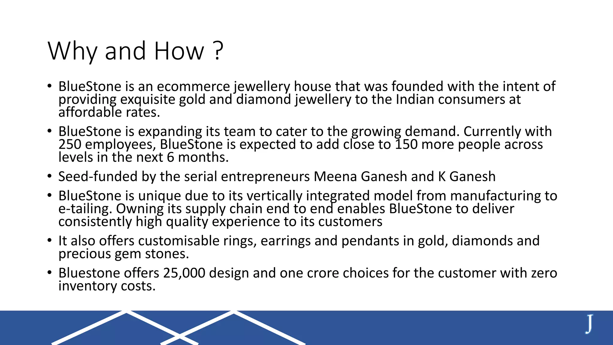 Buisness of digital Startup - Bluestone | PPTX