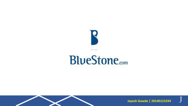 Buisness of digital Startup - Bluestone | PPTX
