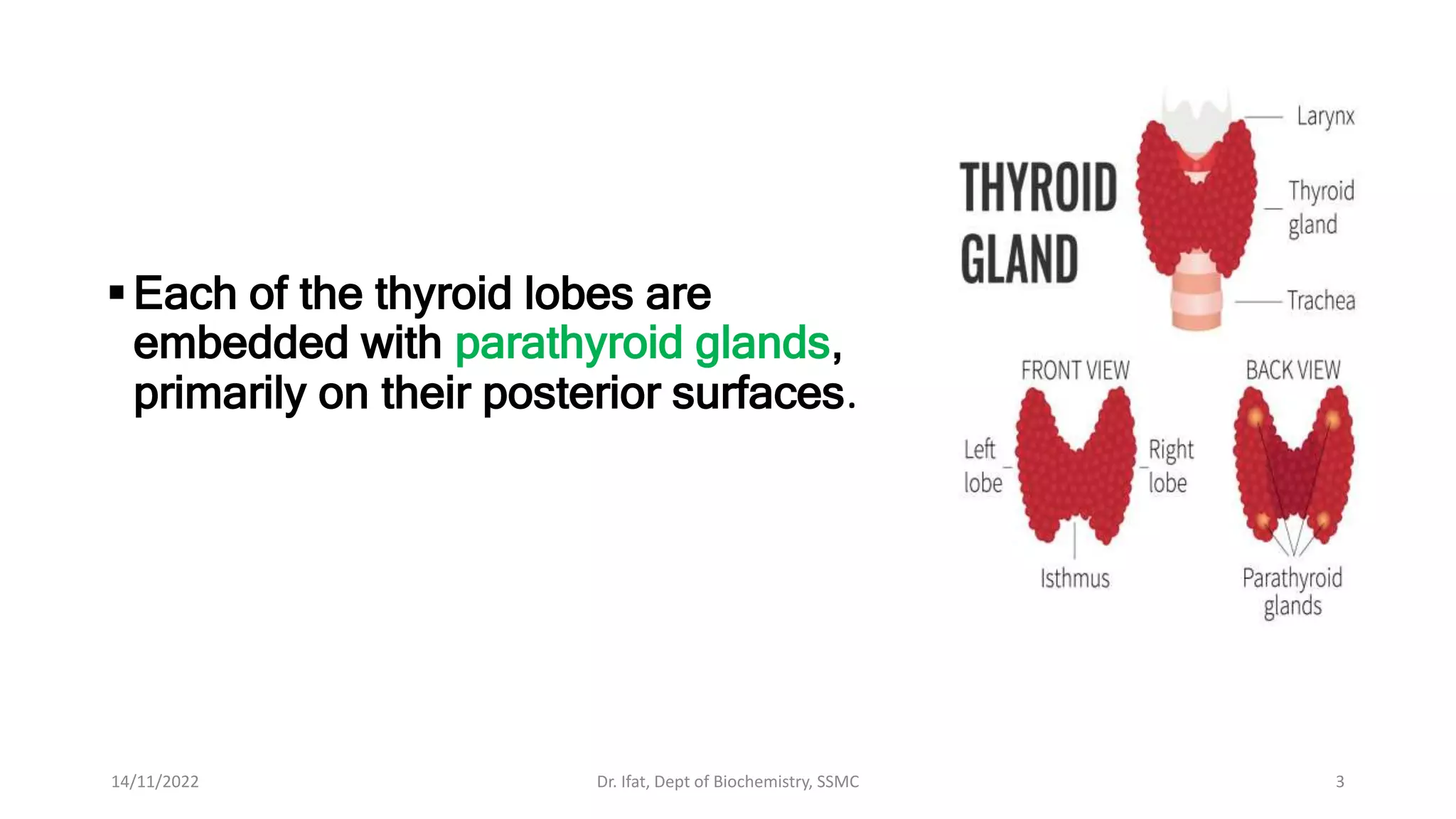 Thyroid Function test.pptx