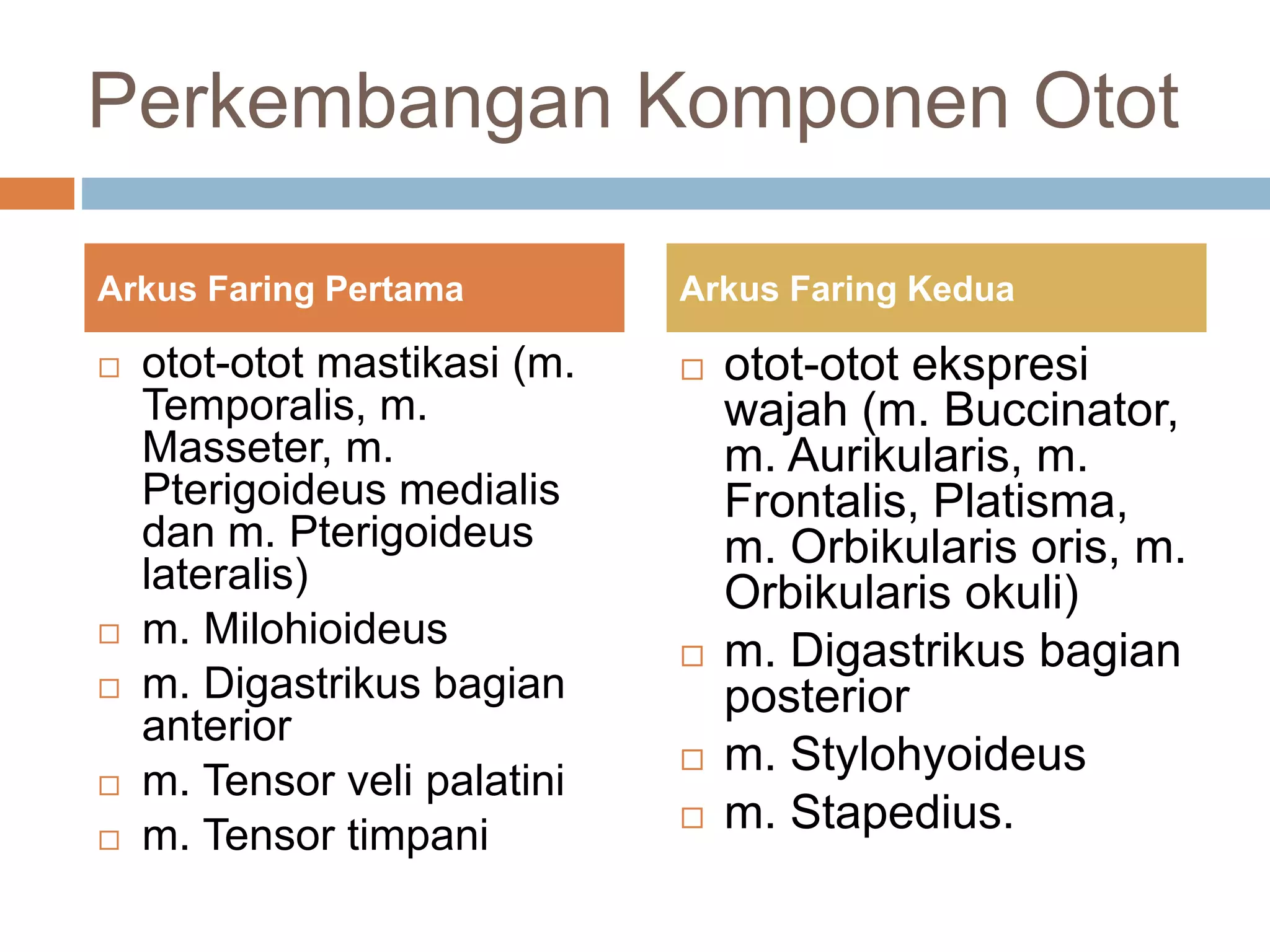 Pertumbuhan dan Perkembangan Komponen Pembentuk Wajah | PPTX