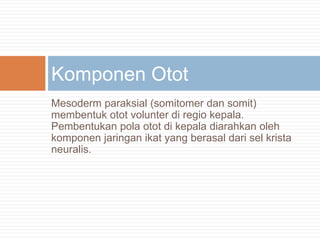 Pertumbuhan dan Perkembangan Komponen Pembentuk Wajah | PPTX
