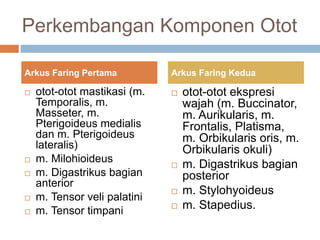 Pertumbuhan dan Perkembangan Komponen Pembentuk Wajah | PPTX