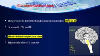 Acid base balance for medical, dental students | PPTX