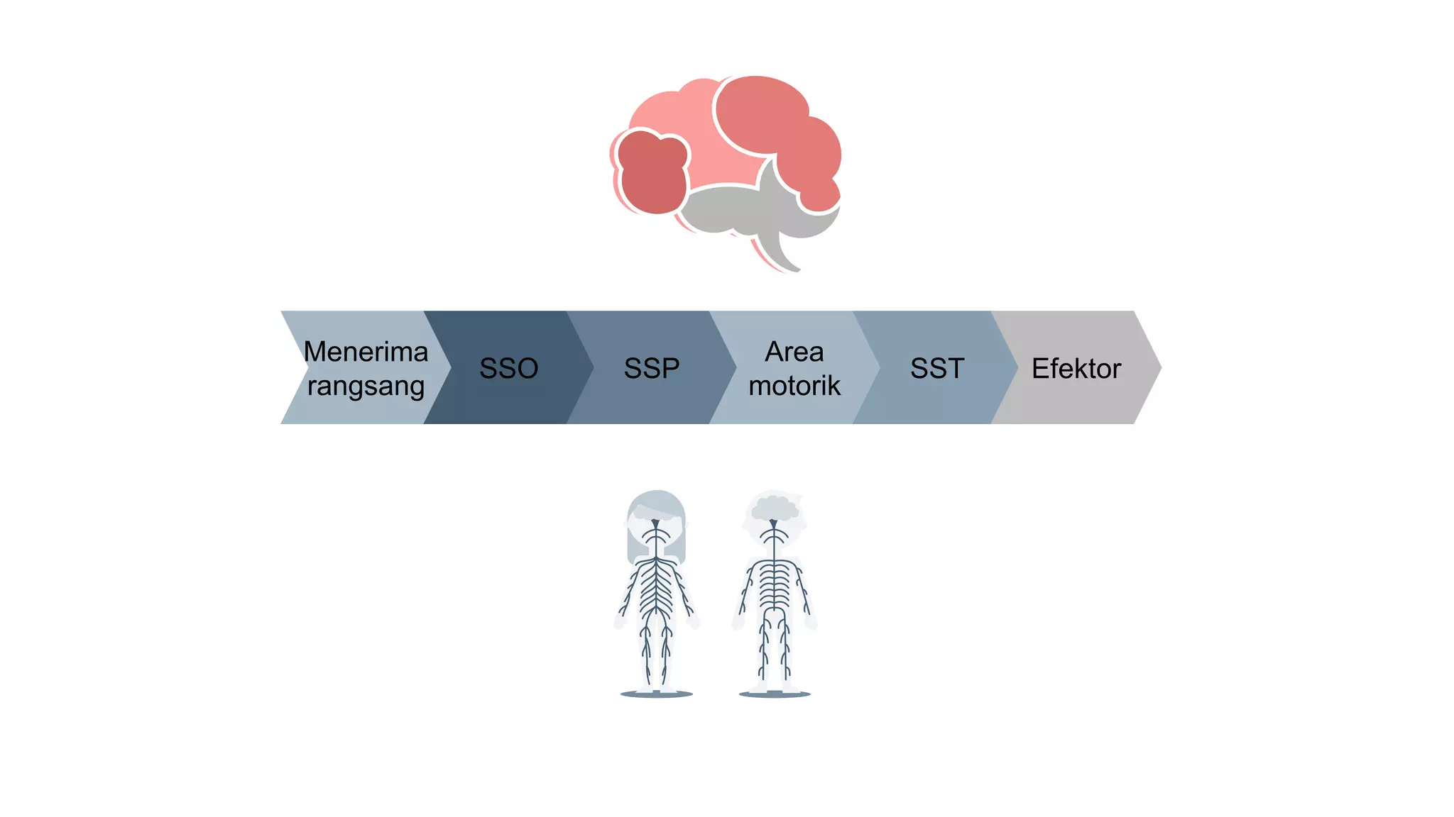 Mekanisme Neurologi Berbicara | PPTX